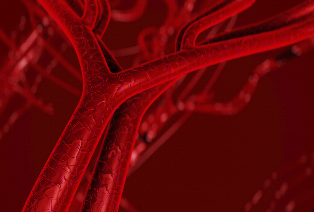 Engineers create tri-layered artificial blood vessel - Redorbit