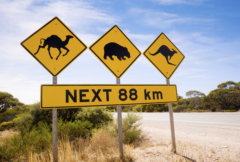 Why is Australia so weird? - Redorbit