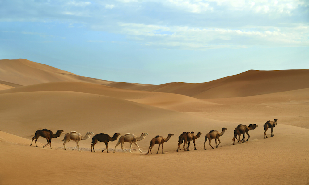 There used to be a vast network of rivers beneath the Sahara Desert ...