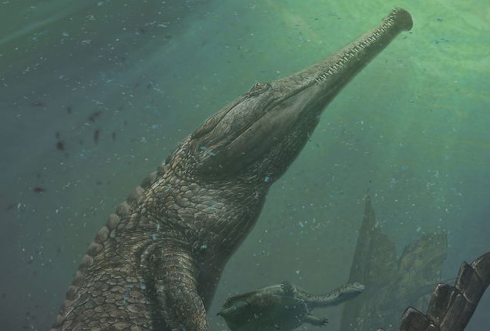 Scary ancient crocodile discovered in Tunisia was the size of a bus ...